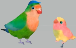 3rd and Bird | BBC Kids Wiki | Fandom