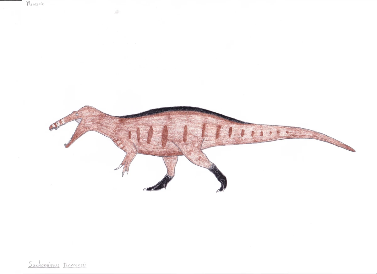 Suchomimus | BBC Mesozoic Wiki | Fandom