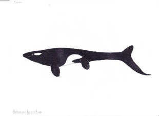 Platecarpus | BBC Mesozoic Wiki | Fandom