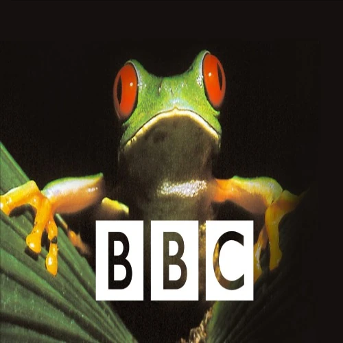 Bbc Natural World Wiki Fandom