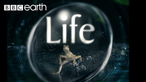 Life | BBC Natural World Wiki | Fandom