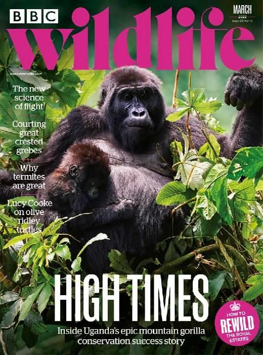 BBC Wildlife | BBC Wiki | Fandom
