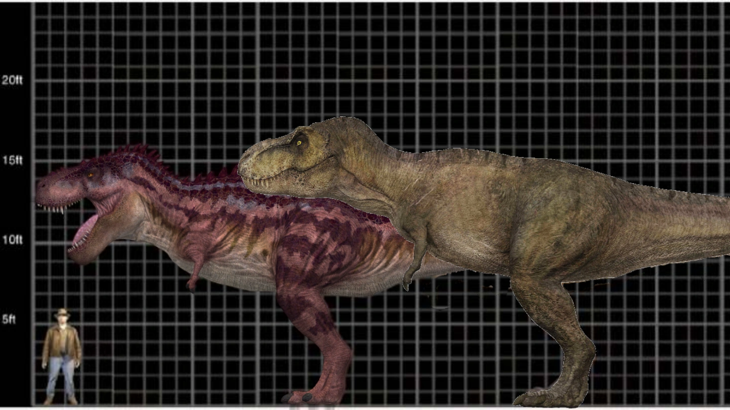 JWCCHA Tarbosaurus and JW Dominion Rexy Size Comparison | Fandom