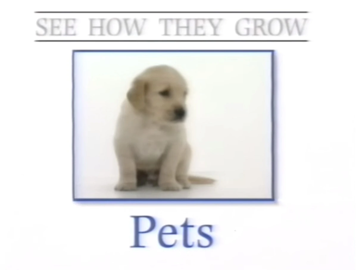 See How They Grow | Cbeebies Wiki | Fandom