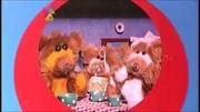 Monkeys | Cbeebies Wiki | Fandom