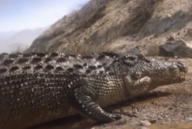 Sarcosuchus Planet Dinosaur