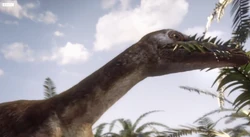 Saurornithoides | BBC Planet Dinosaur Wiki | Fandom