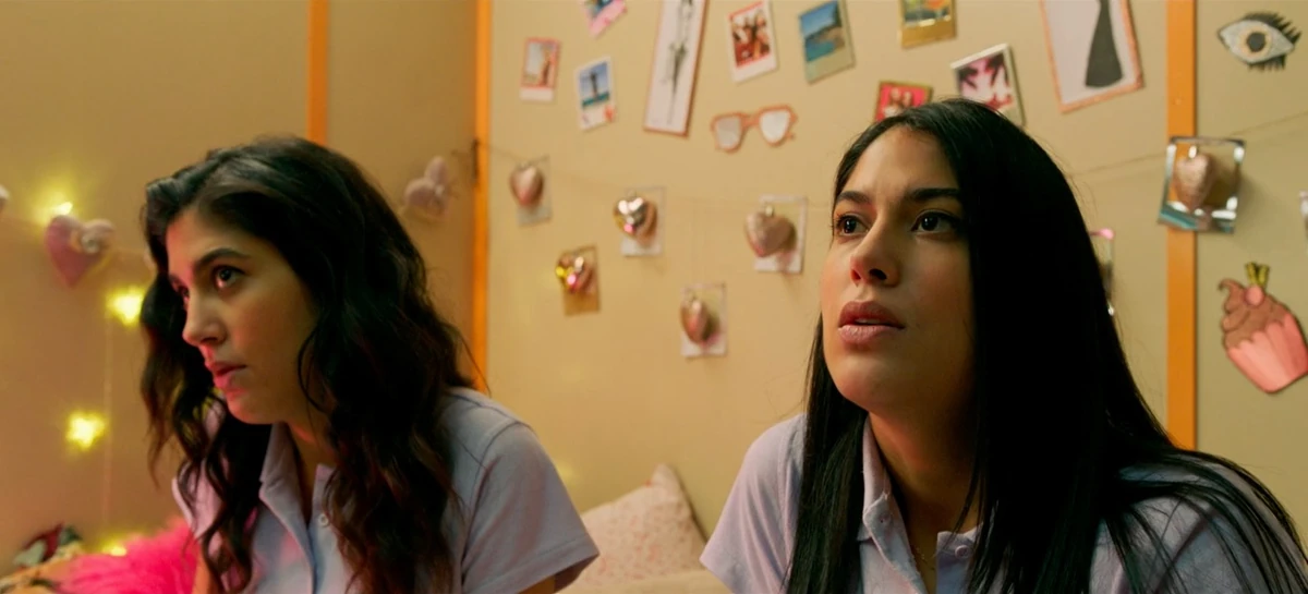 Amys | Wreck Wiki | Fandom