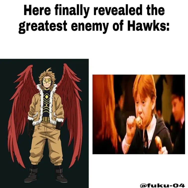 hawks memes (not mine) | Fandom