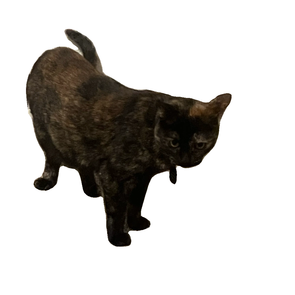 Hula (H-205) | Fandom