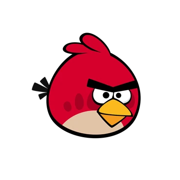 Which BIRD pfp should be my new one? | Fandom