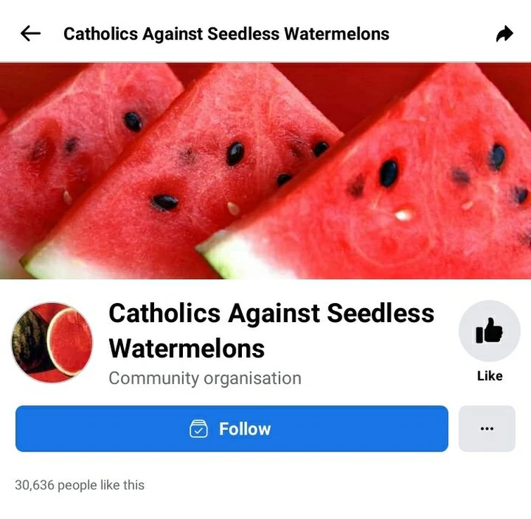 Minori has a watermelon today! | Fandom