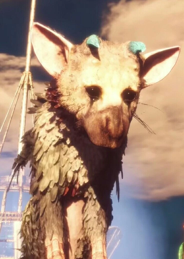 What creature will fit with Trico? | Fandom