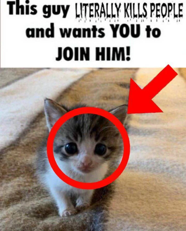 daily meme #210: killer | Fandom