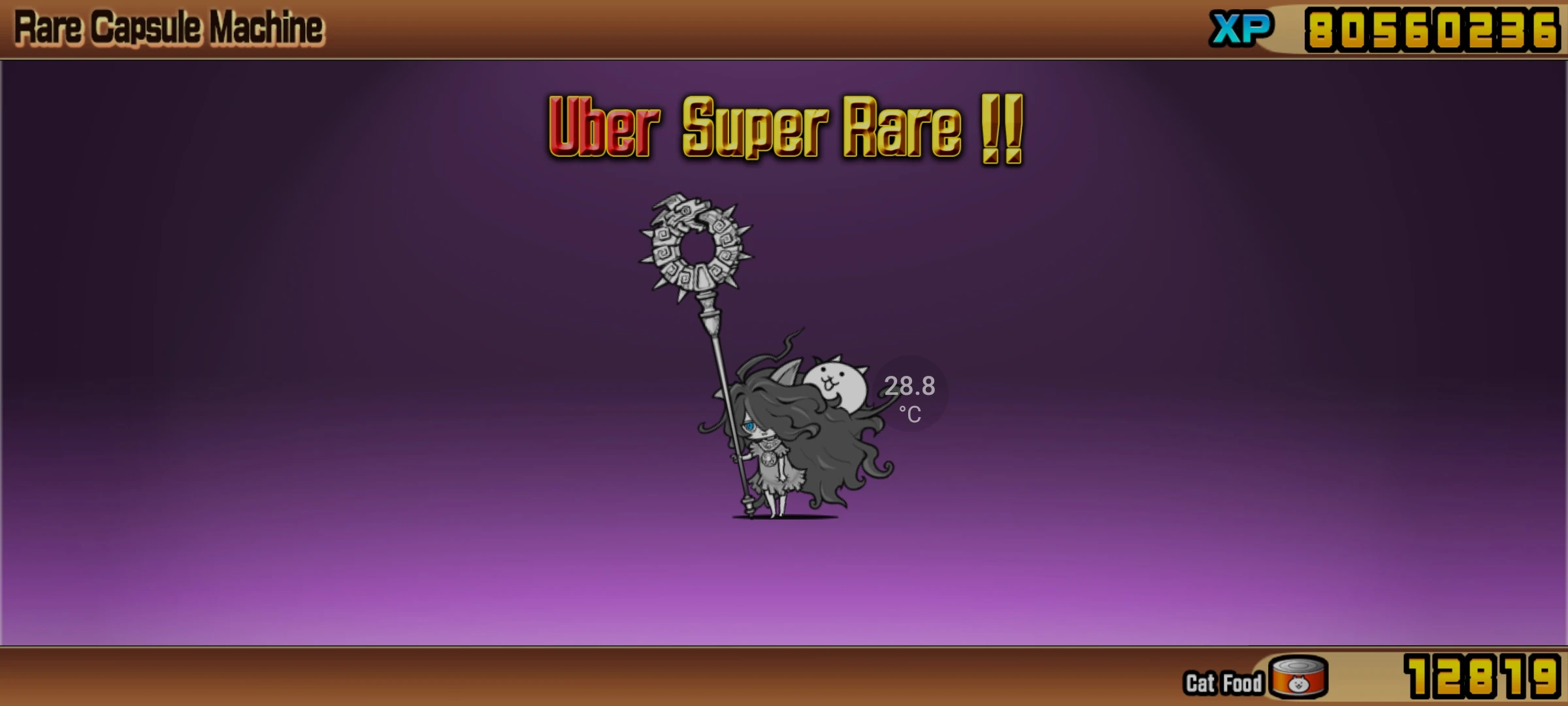 Mizu's Hunt for (La)zagna [sic] Day 2/4 | Fandom