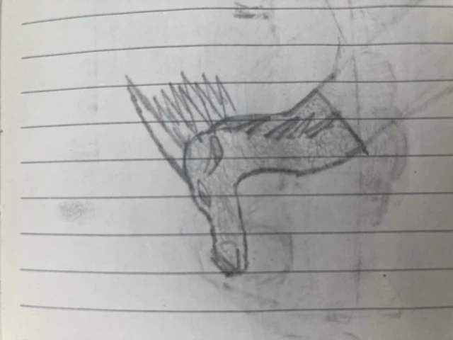 Sh*tty drawing + announcement | Fandom