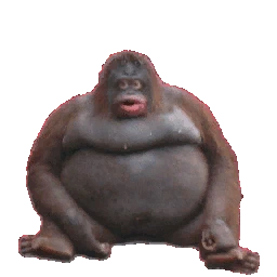 Le Monke | The Official Procrastinating Chihuahua Wiki | Fandom