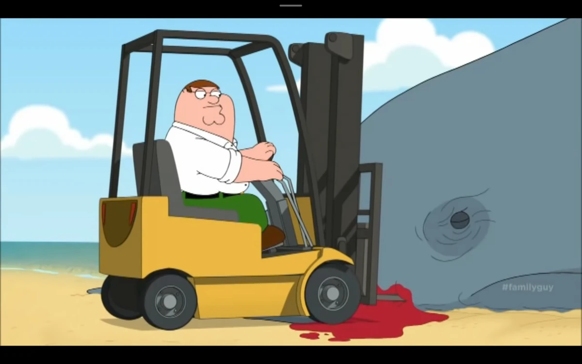 This Is My New Song | BBM Stars Wiki | Fandom