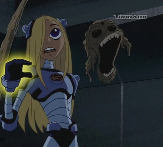 Terra Vs Raven