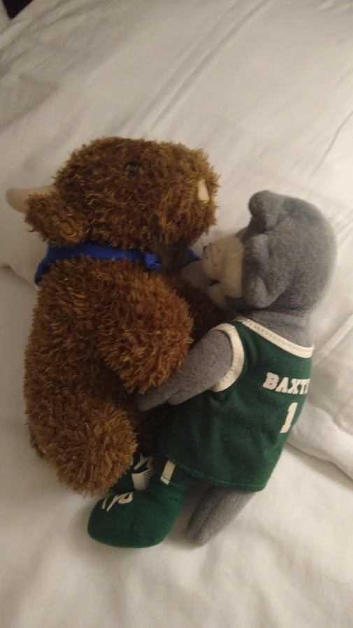 Bby Bull | Bby Kingdom Wiki | Fandom