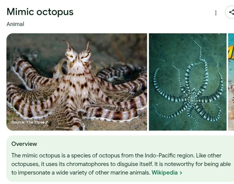 did u know mimic octo exists irl | Fandom