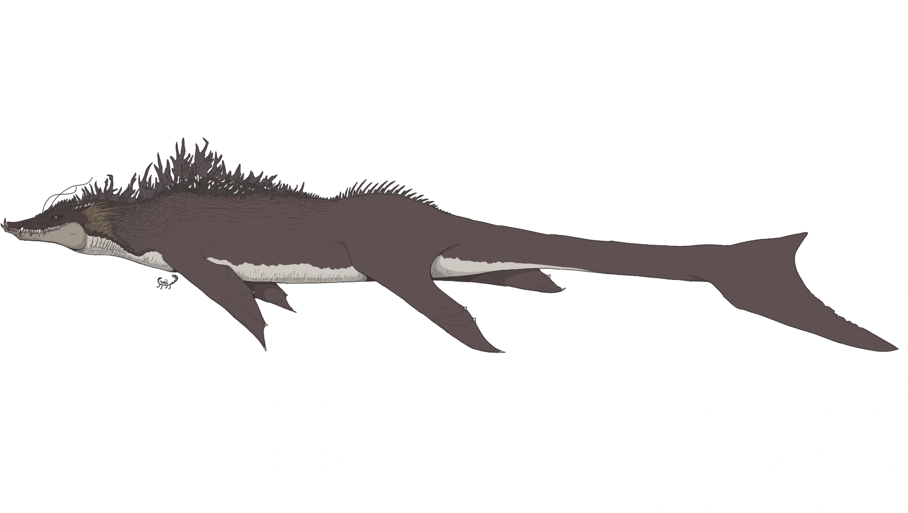 The Dragon from Hell | Fandom