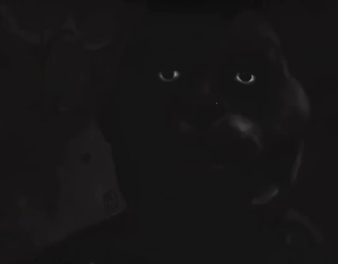 It will be your fault. | Fandom