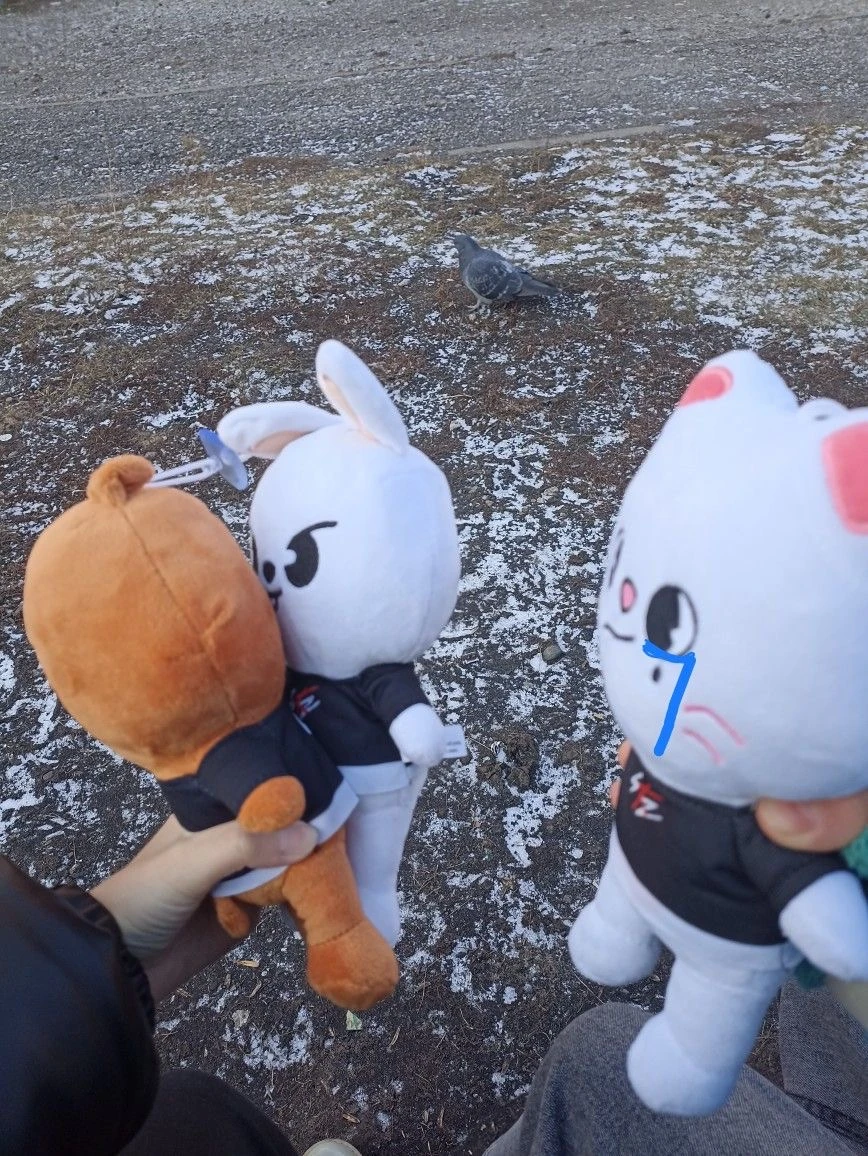 daily skzoo (day 5) | Fandom