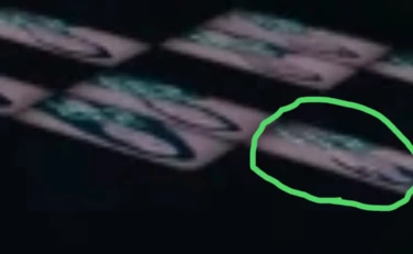 Player 211 died in the special game?… | Fandom