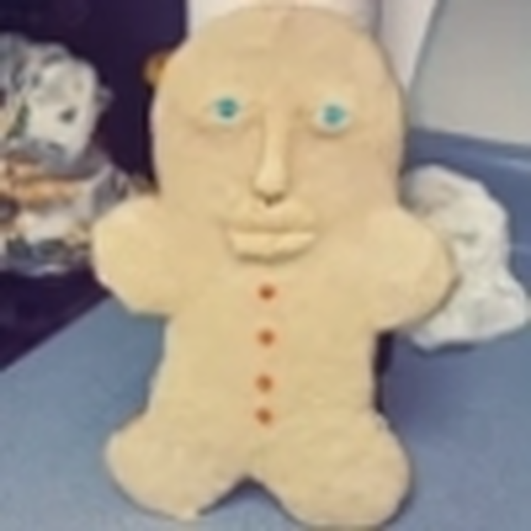 Does anyone know where the gingerbread icon is from? Like, where did ...