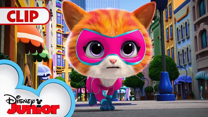Cheese 🧀 | Music Video | SuperKitties | NEW Series | @disneyjunior | Fandom