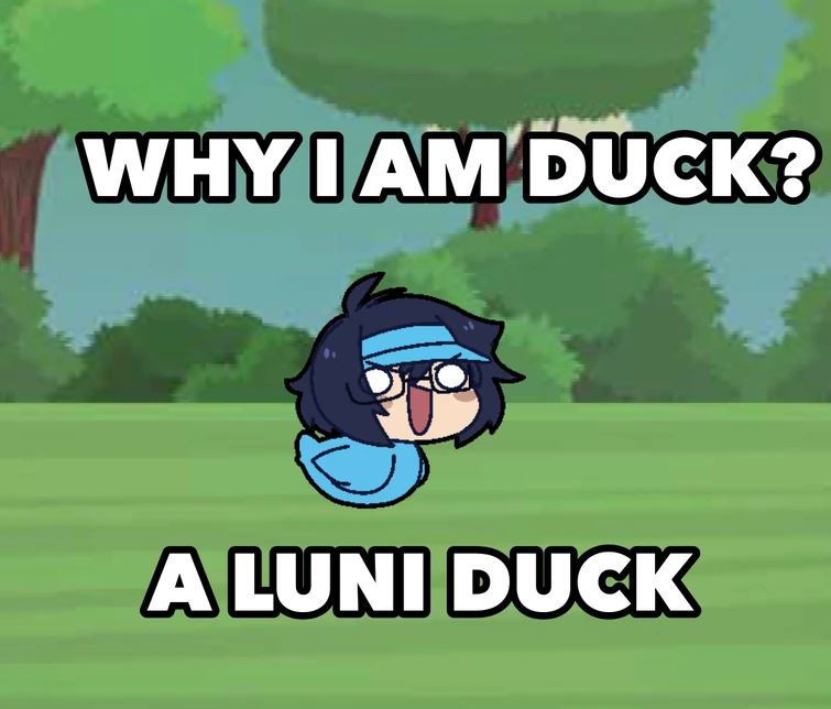 Why I am duck, Luni Duck [gacha club meme] | Fandom