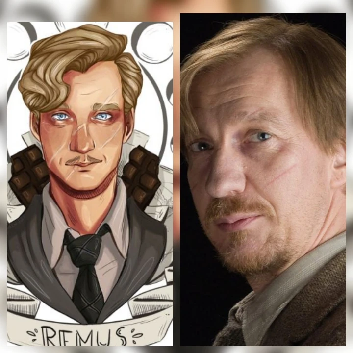 Remus Lupin films and book | Fandom