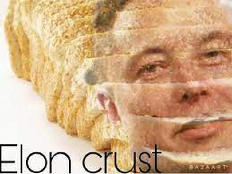elon crust | Fandom