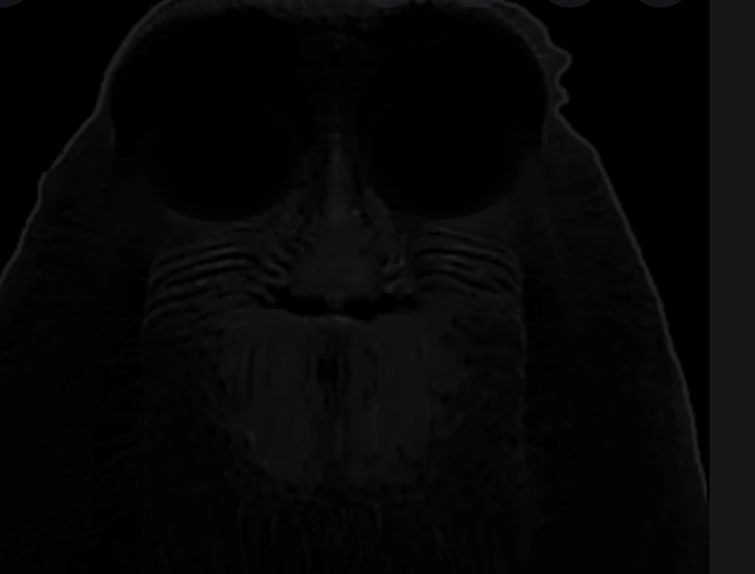 Beta Idle of angry muchi | Fandom