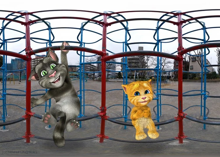 Talking Tom Facebook Media | Fandom