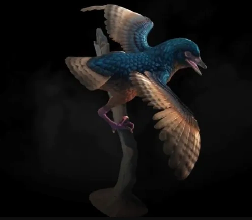 New Bird changes what we know about bird evolution | Fandom