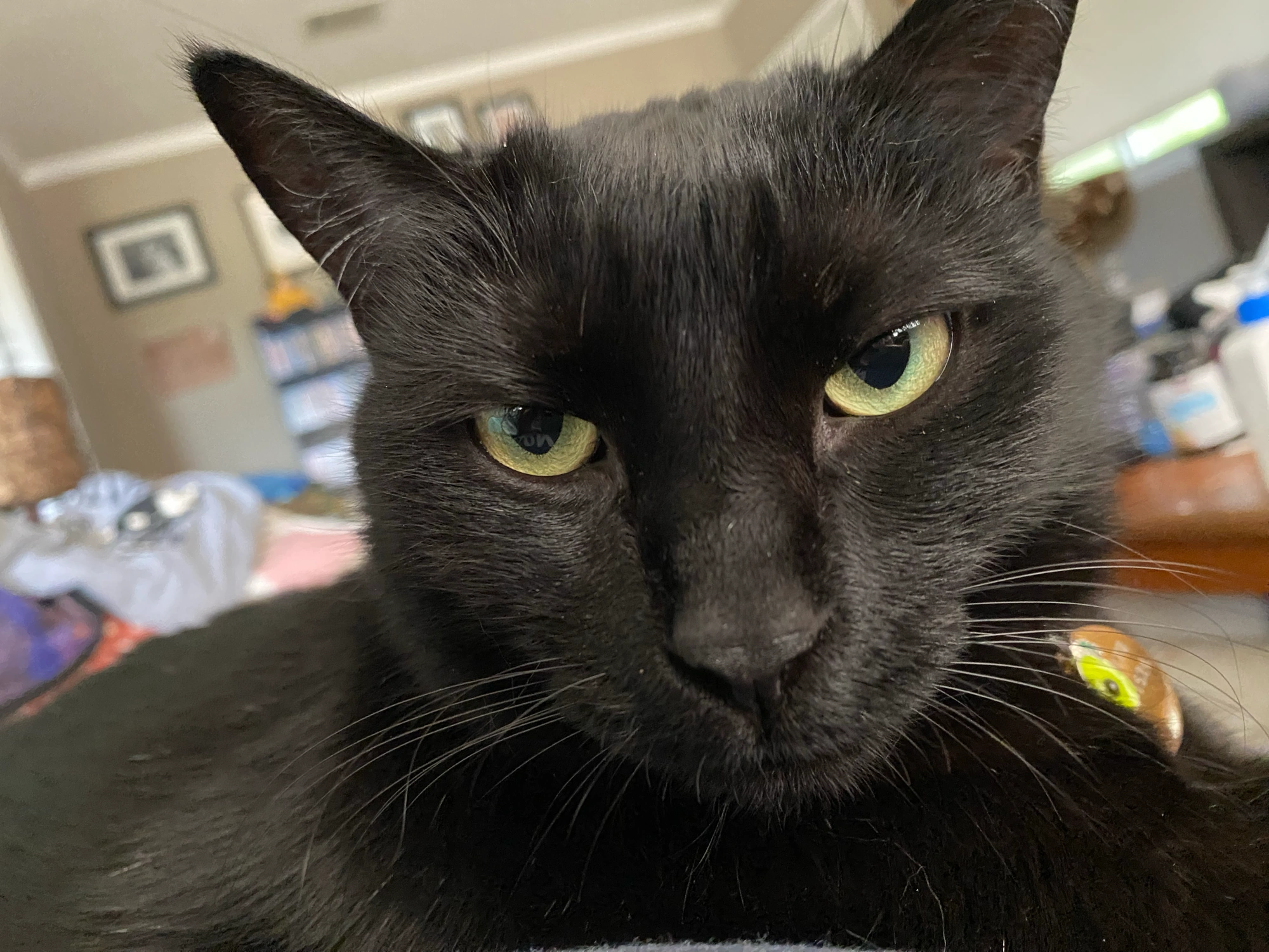 Buying urzuk for 30k | Fandom