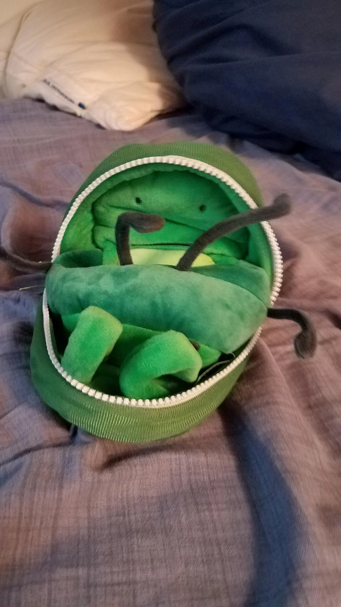 im sending pictures of liam plush to my family at random hours | Fandom