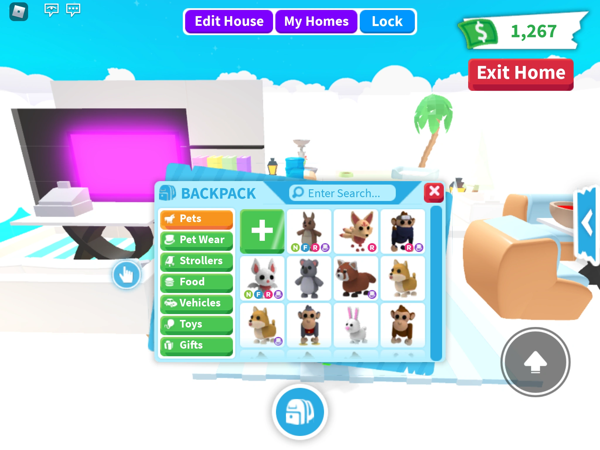 TRADING MY PET INV | Fandom