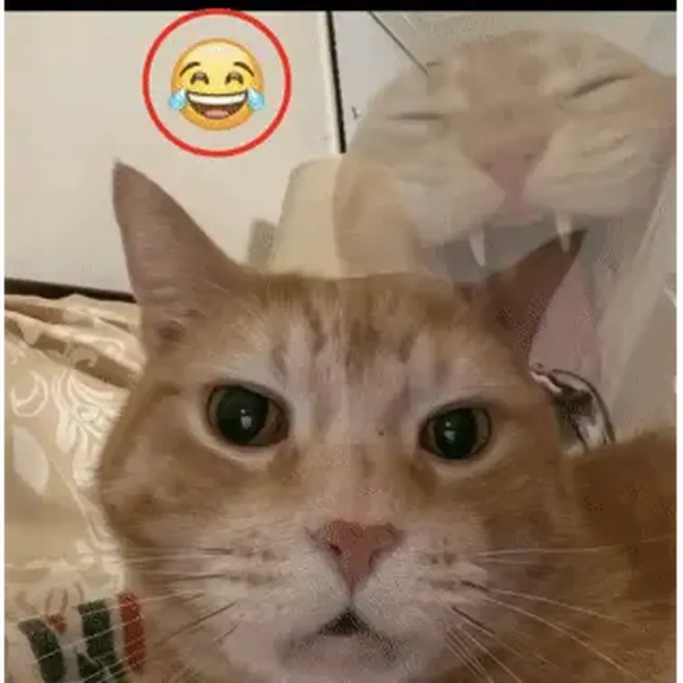 (Spoiler Alert) Mistakes in episode 8 | Fandom