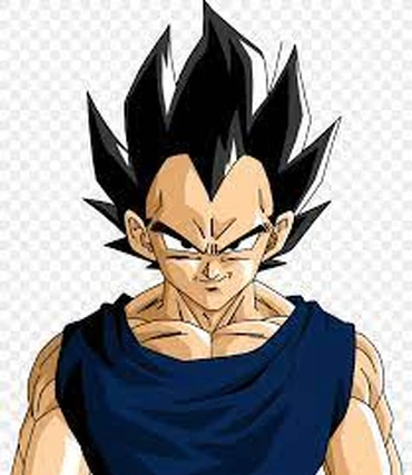 Best Outfit: Vegeta | Fandom