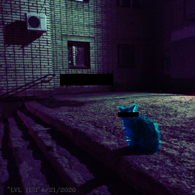 Liminal edit i made with a cat in it. | Fandom