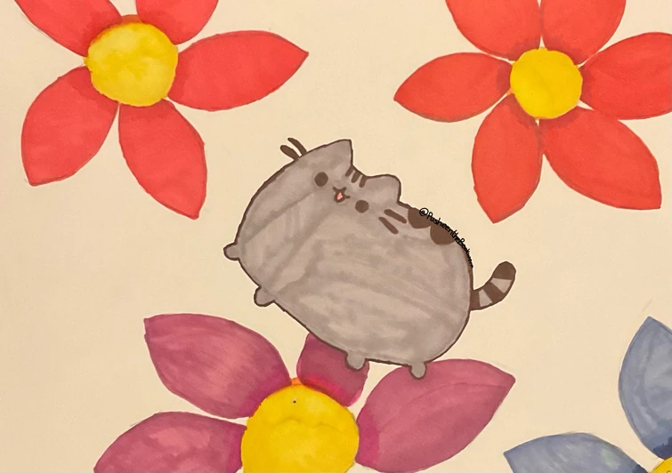 Pusheen 😍 | Fandom