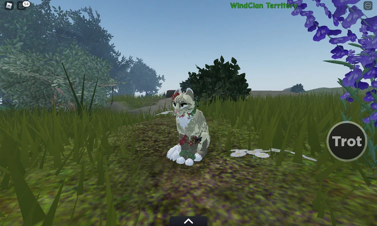 Morph Showcase! | Fandom