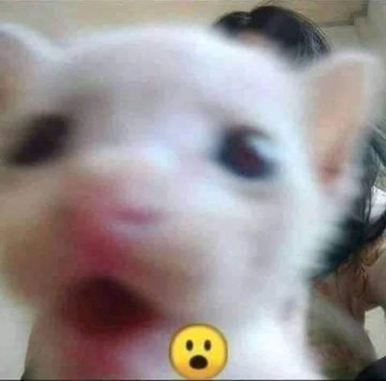 Follow up post "Art" improvement #2 | Fandom