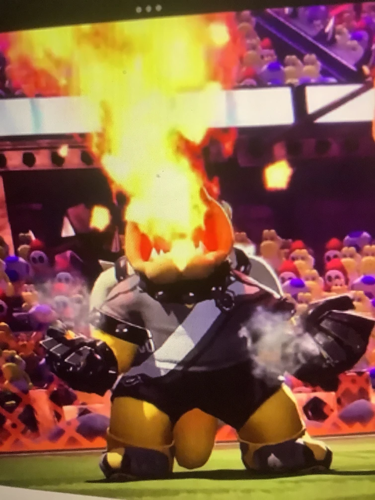 Kenz’s elimination game the final results | Fandom