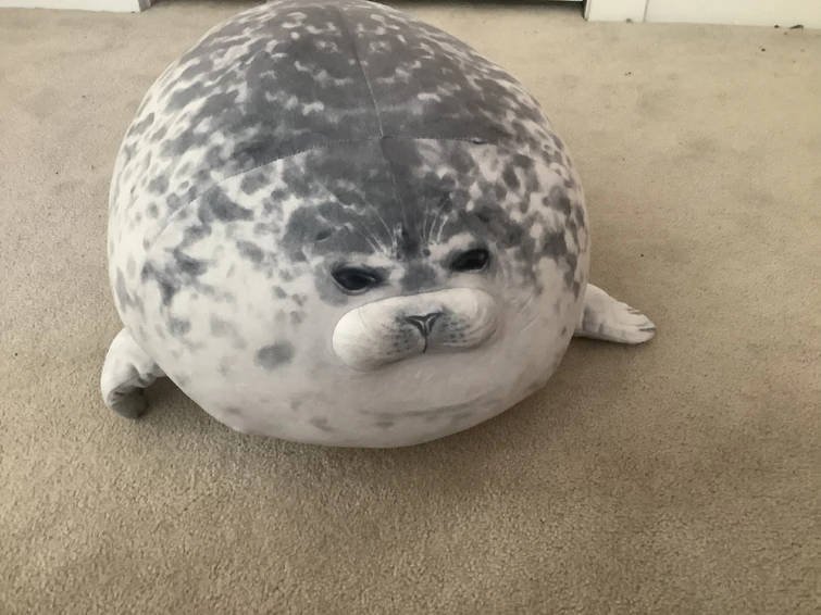 Random object in my room, day 1 | Fandom