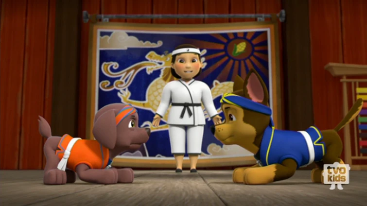 Discuss Everything About PAW Patrol Wiki | Fandom