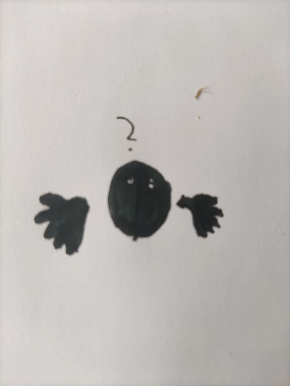 (prototype) snails.oc | B.C.Central Wiki | Fandom